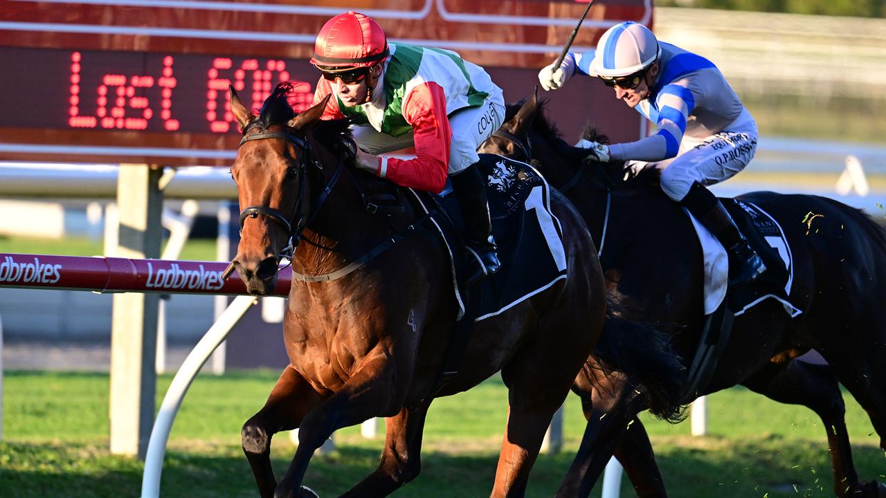 New Zealand trainer Ben Foote hopes to continue the trend with Sakura ...