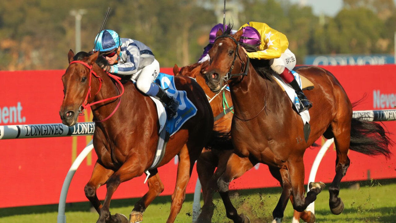 Roughie's form reversal lands $123,000 collect
