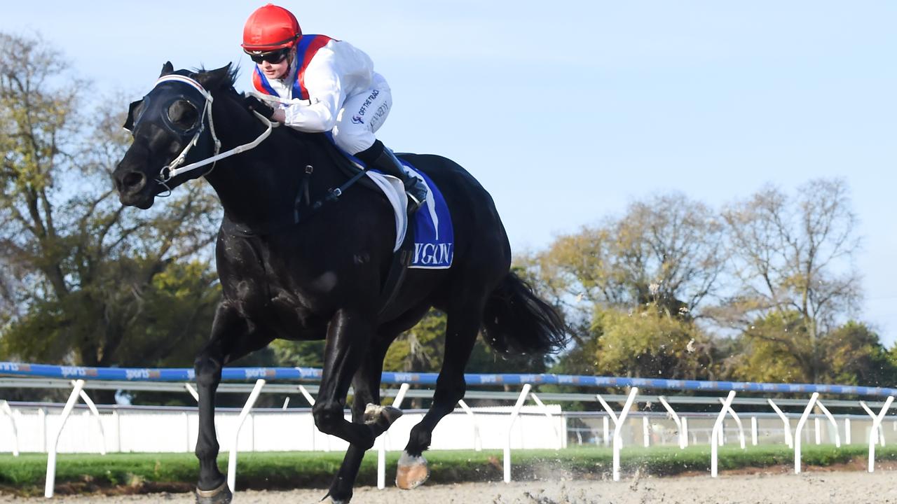 On The Punt: Best bets and value selections for Monday's race meeting ...