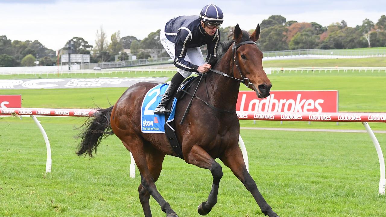 Patrick Payne has strong team at Sandown led by Jaykayann