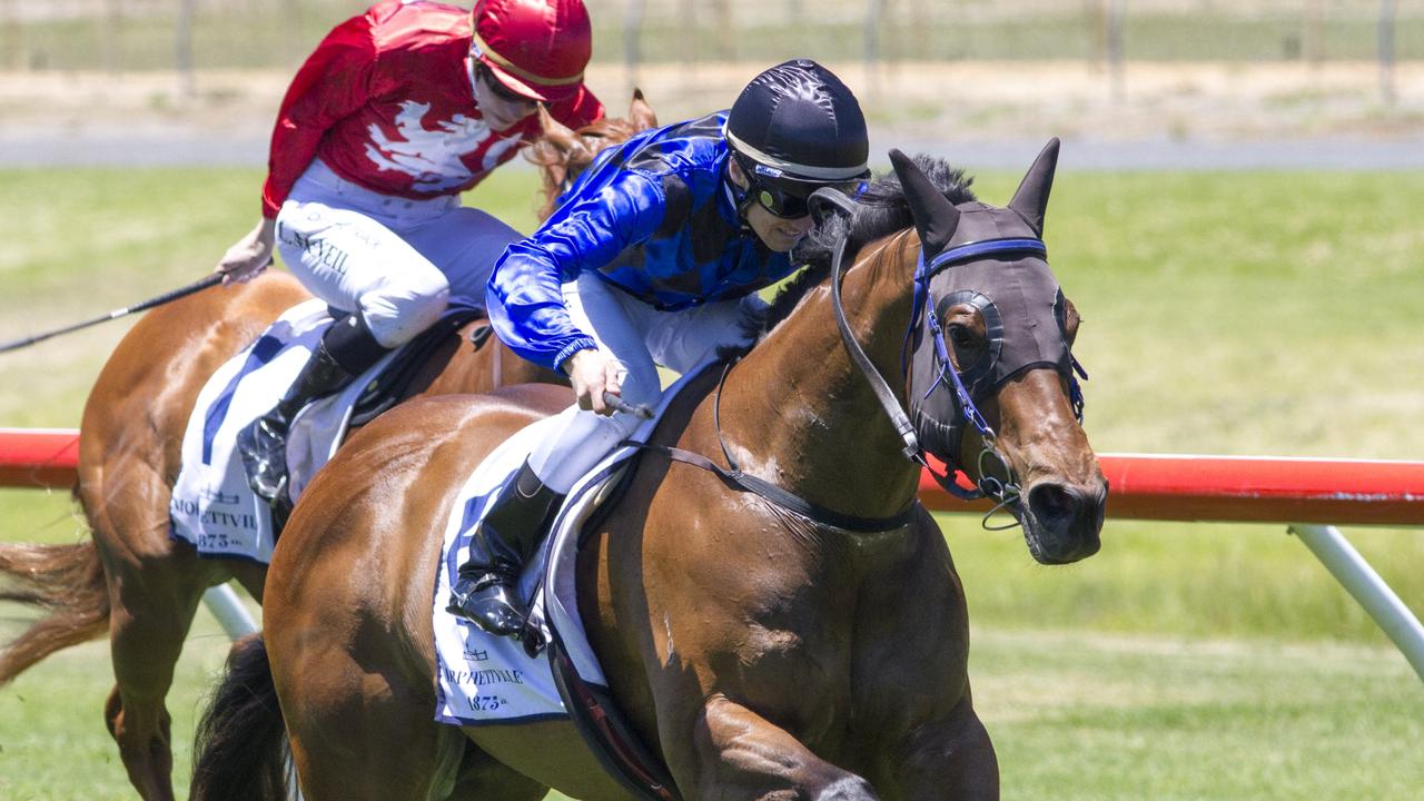 Racing in South Australia is set to receive a much needed funding boost ...