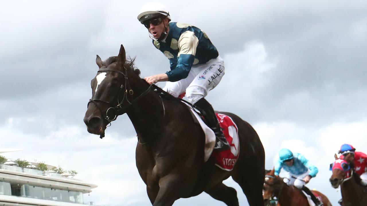 Hitotsu to stand first season at Arrowfield Stud in 2023