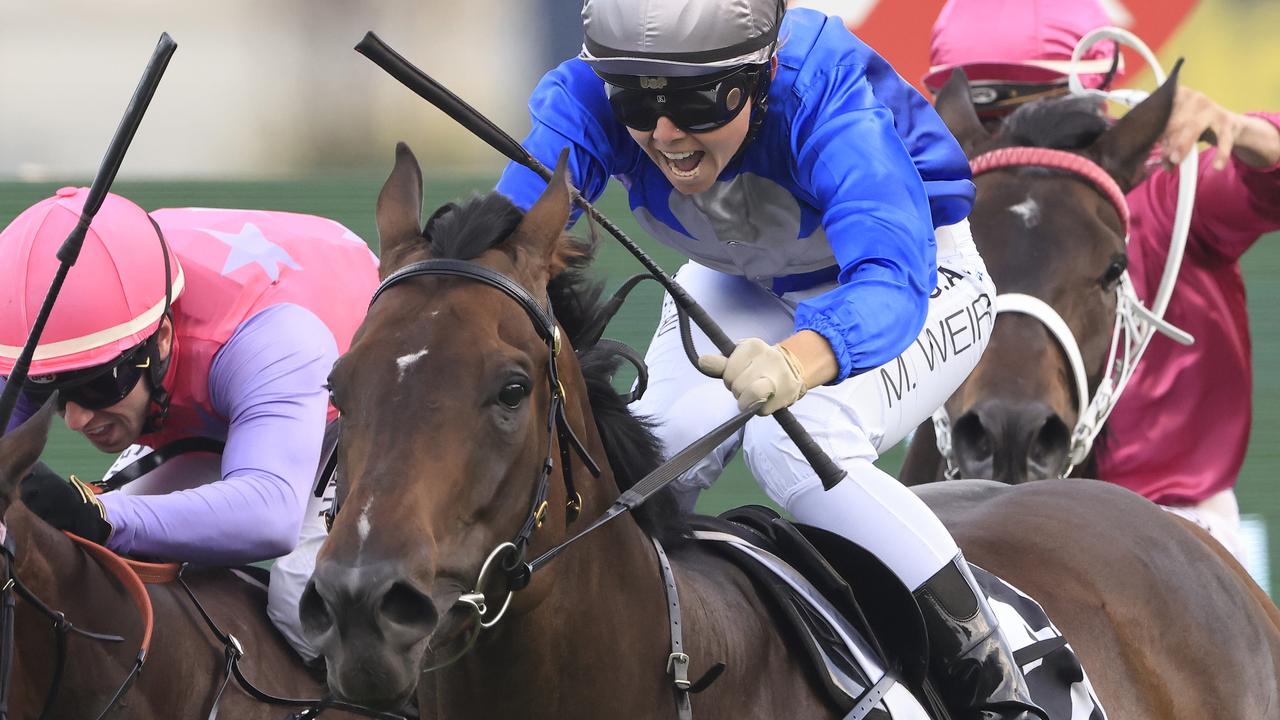 Todd Howlett has hopes getting Two Big Fari back to the Little Dance