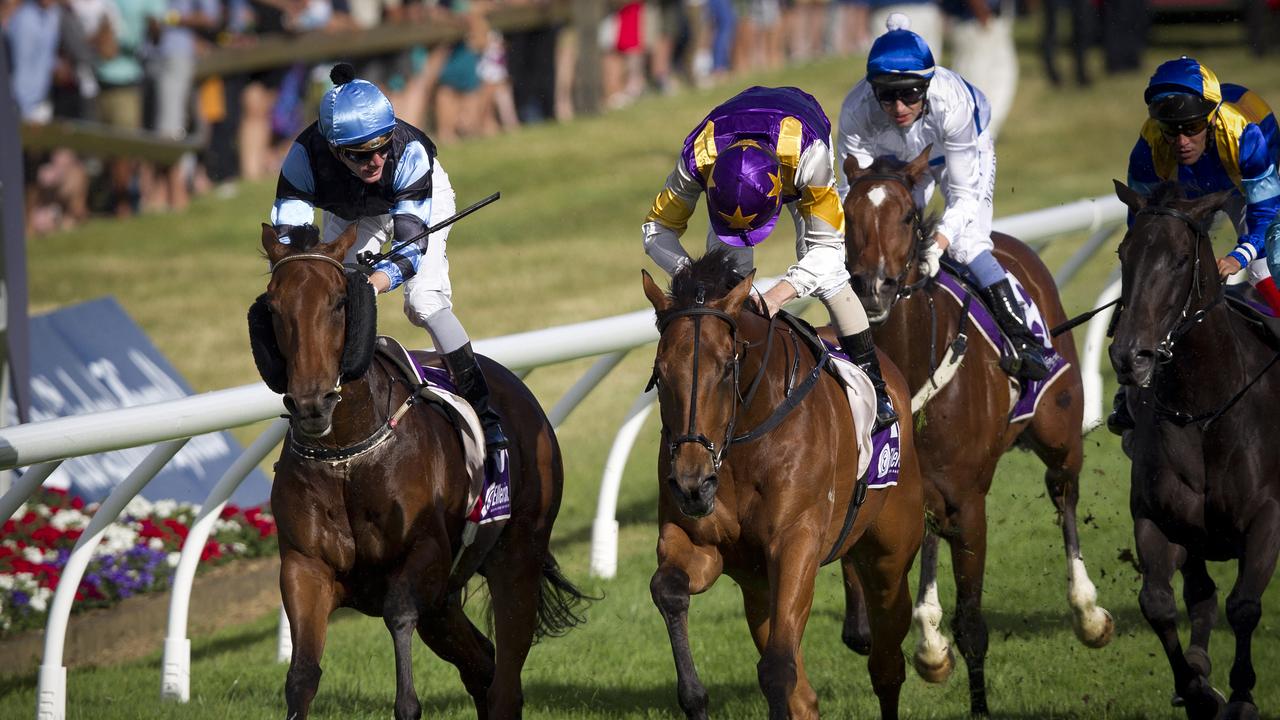 $20.3m injected into NZ racing for upcoming season