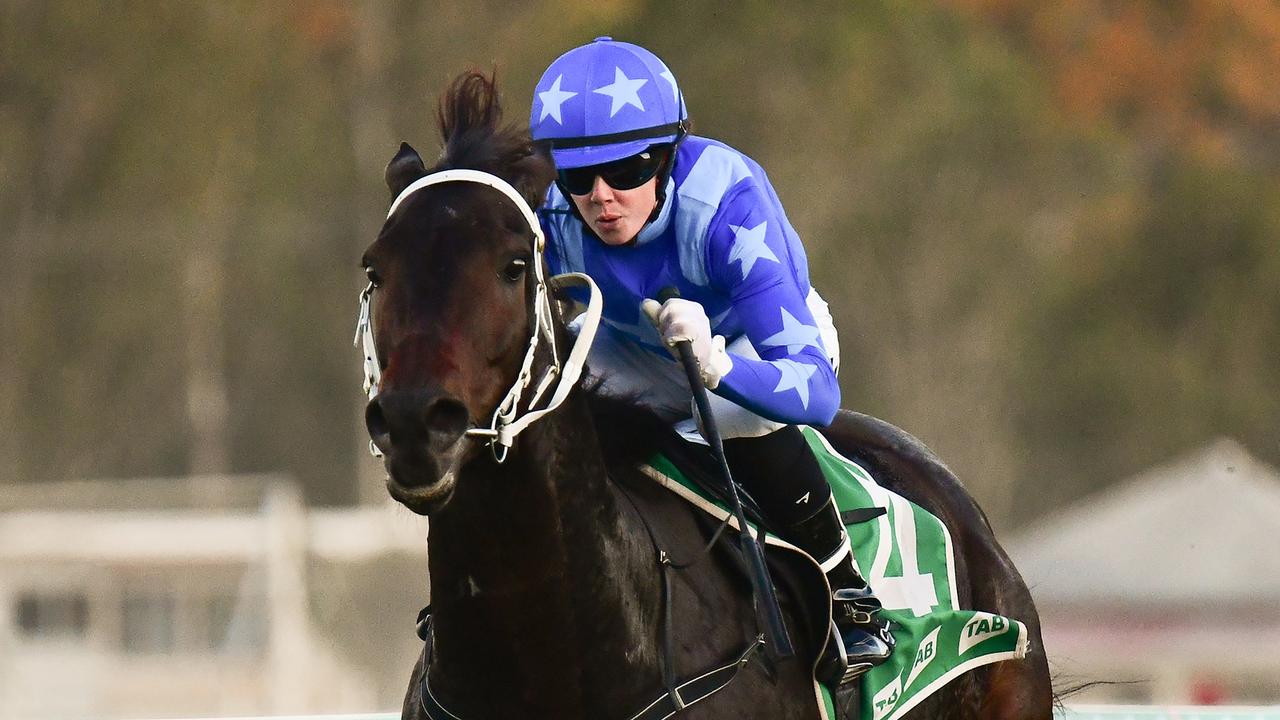 Harness driver Lachie Manzelmann seeks Ipswich win as gallops trainer