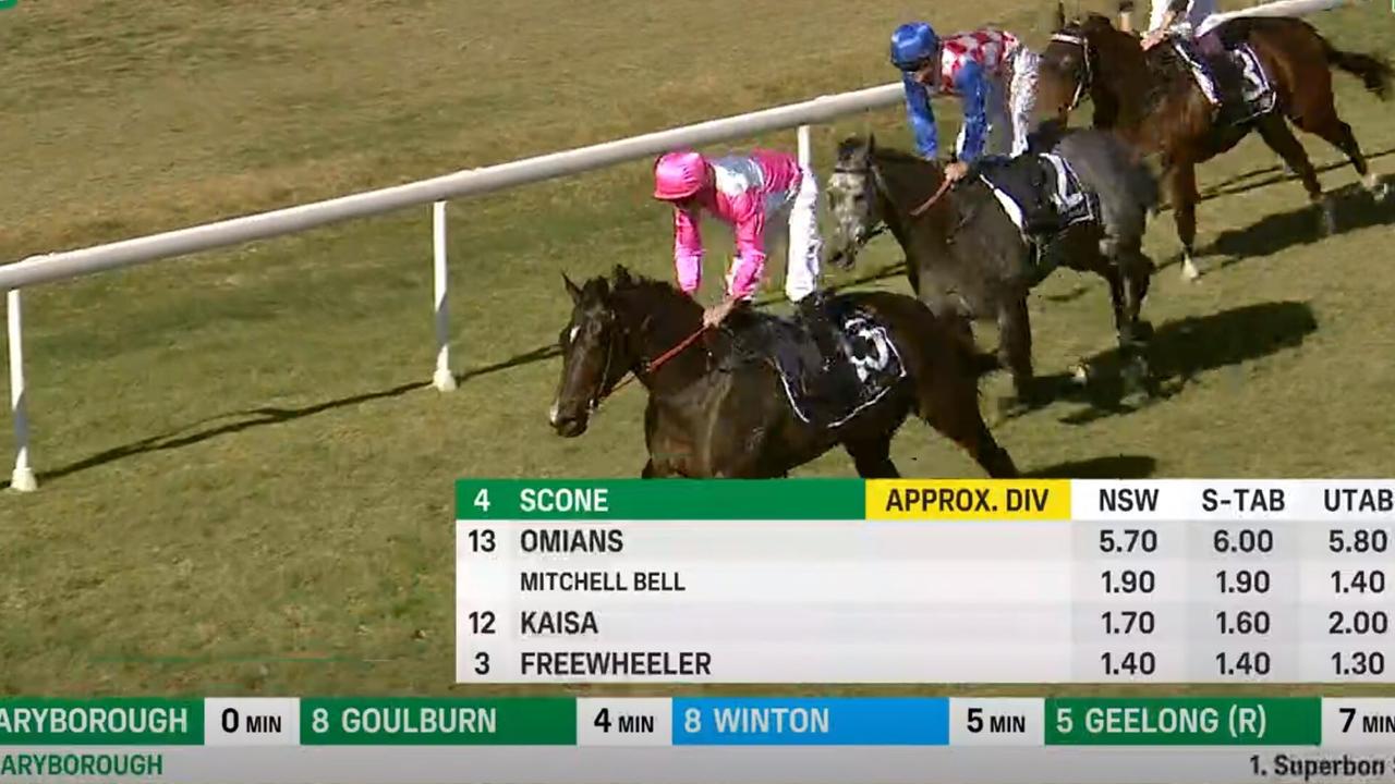 Sensational scenes as Scone plunge horse dumps rider at the start