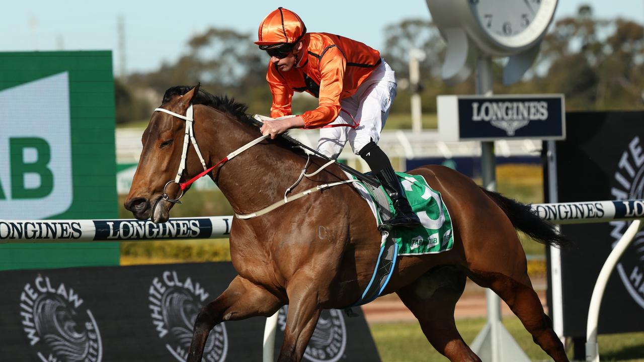 Mogo Magic remains unbeaten with tough Highway win at Rosehill