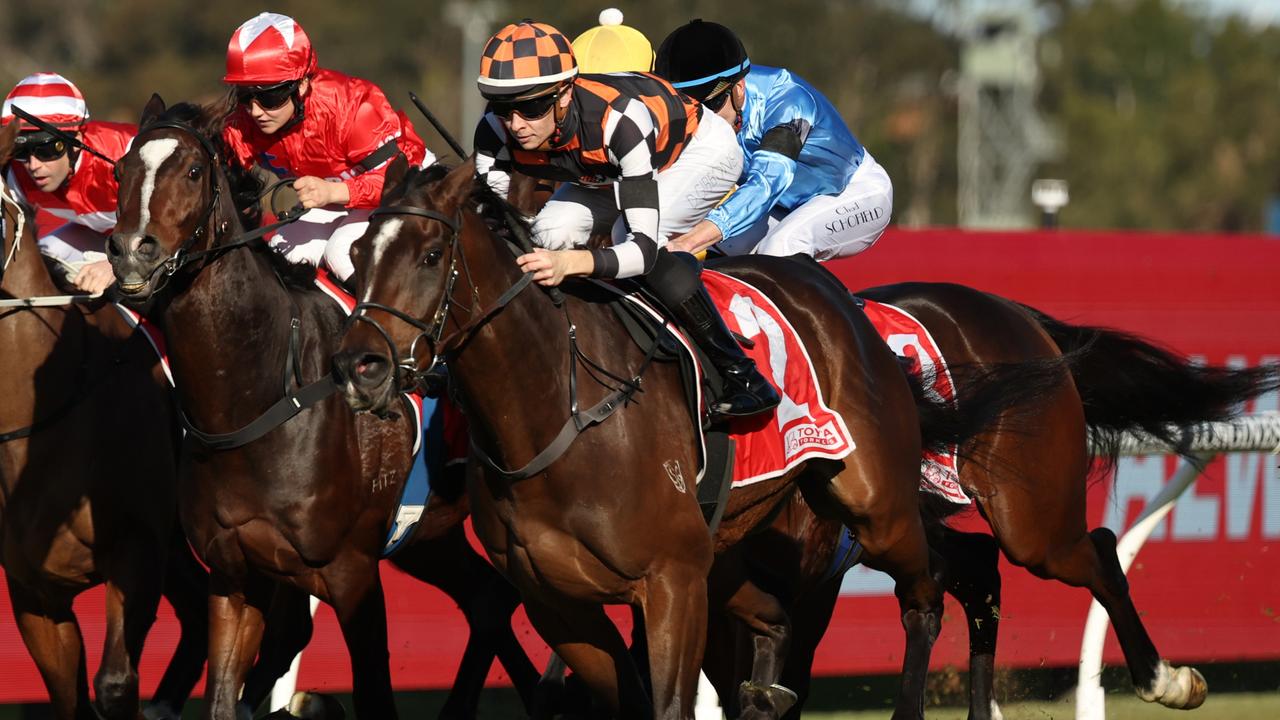 Annabel Neasham import Fawkner Park makes it four wins Down Under