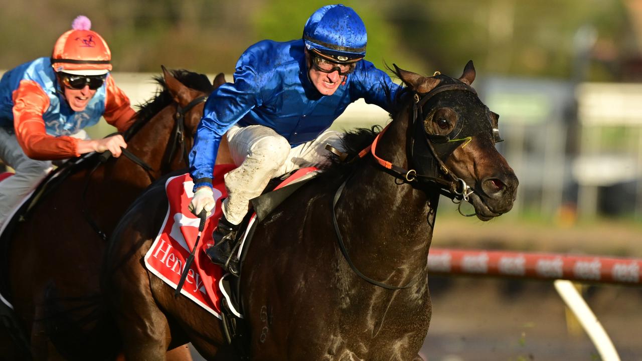 Godolphin stallion-in-waiting Ingratiating to resume in Monash Stakes