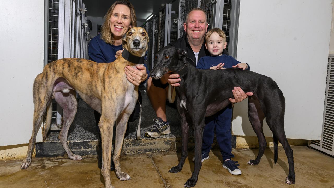 Postman Pat in pursuit of Brisbane Cup history - Racenet