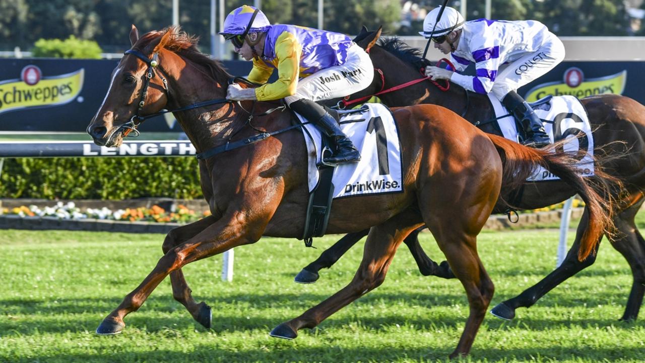 Richard Litt chasing more success with ex-Godolphin gallopers