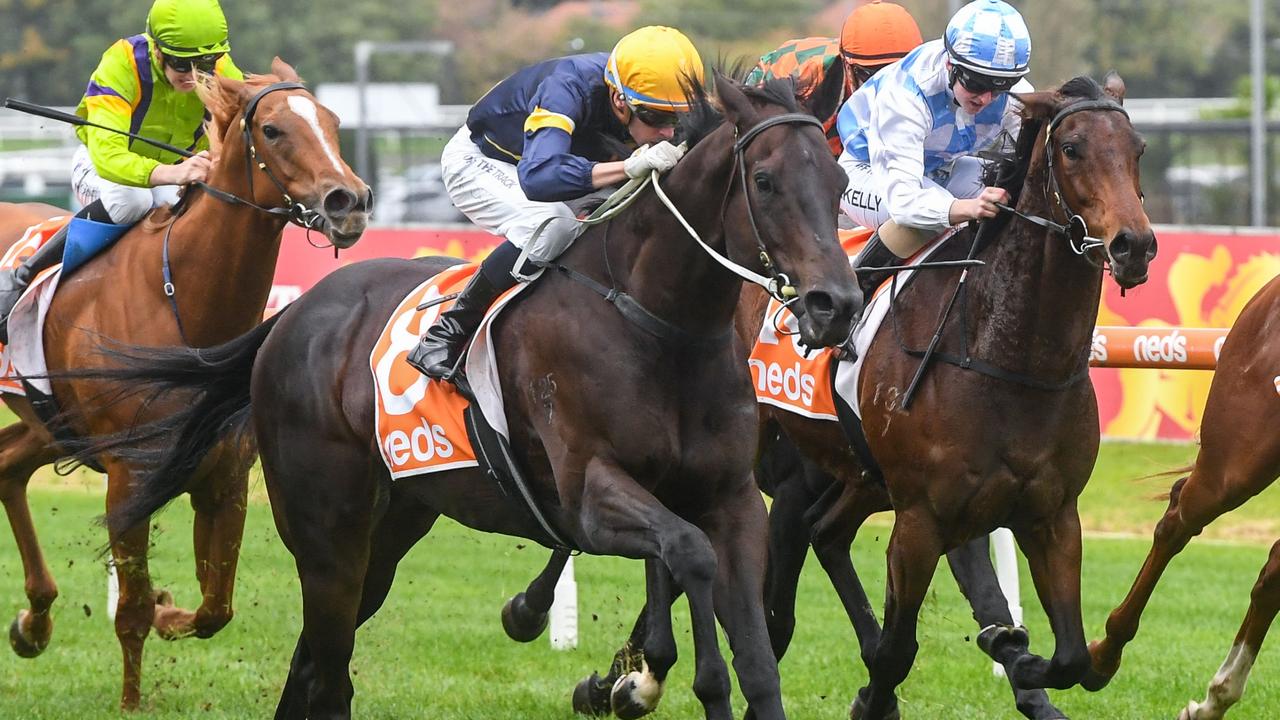 Punters get on Ranting in stable debut at Flemington