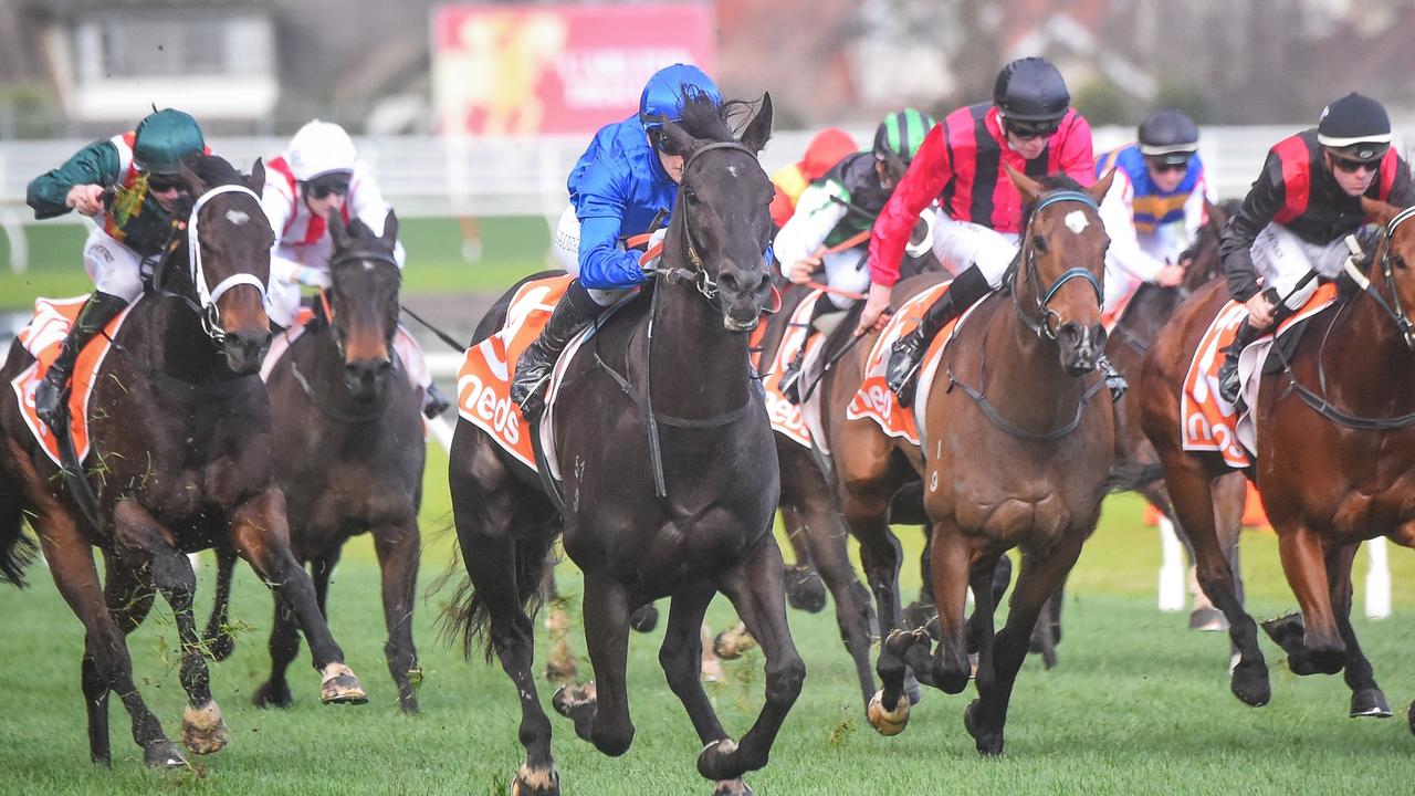 Melbourne switch paying dividends for talented filly Kin
