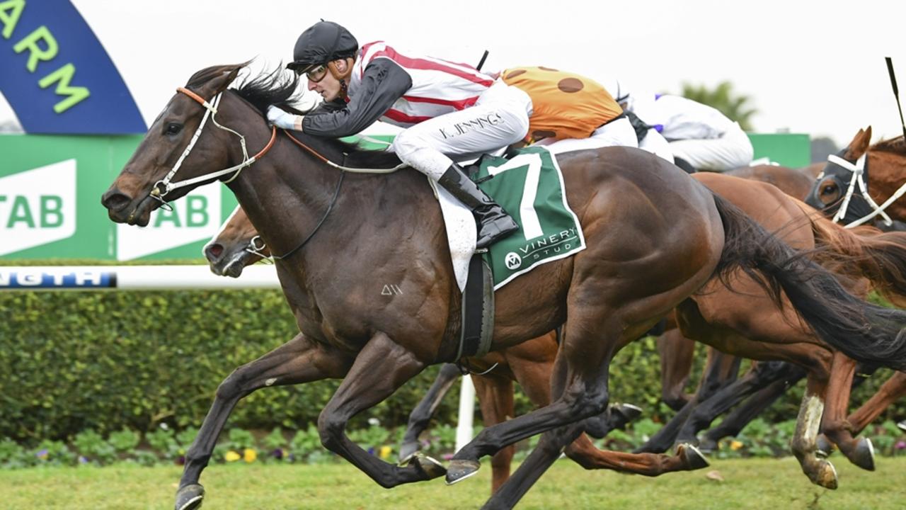In-form Givara ready for the challenge at Rosehill on Saturday