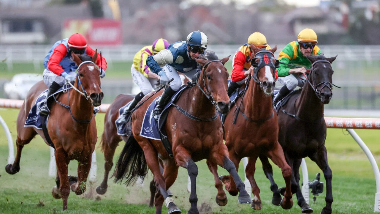 Punter turns $500 into almost $100,000