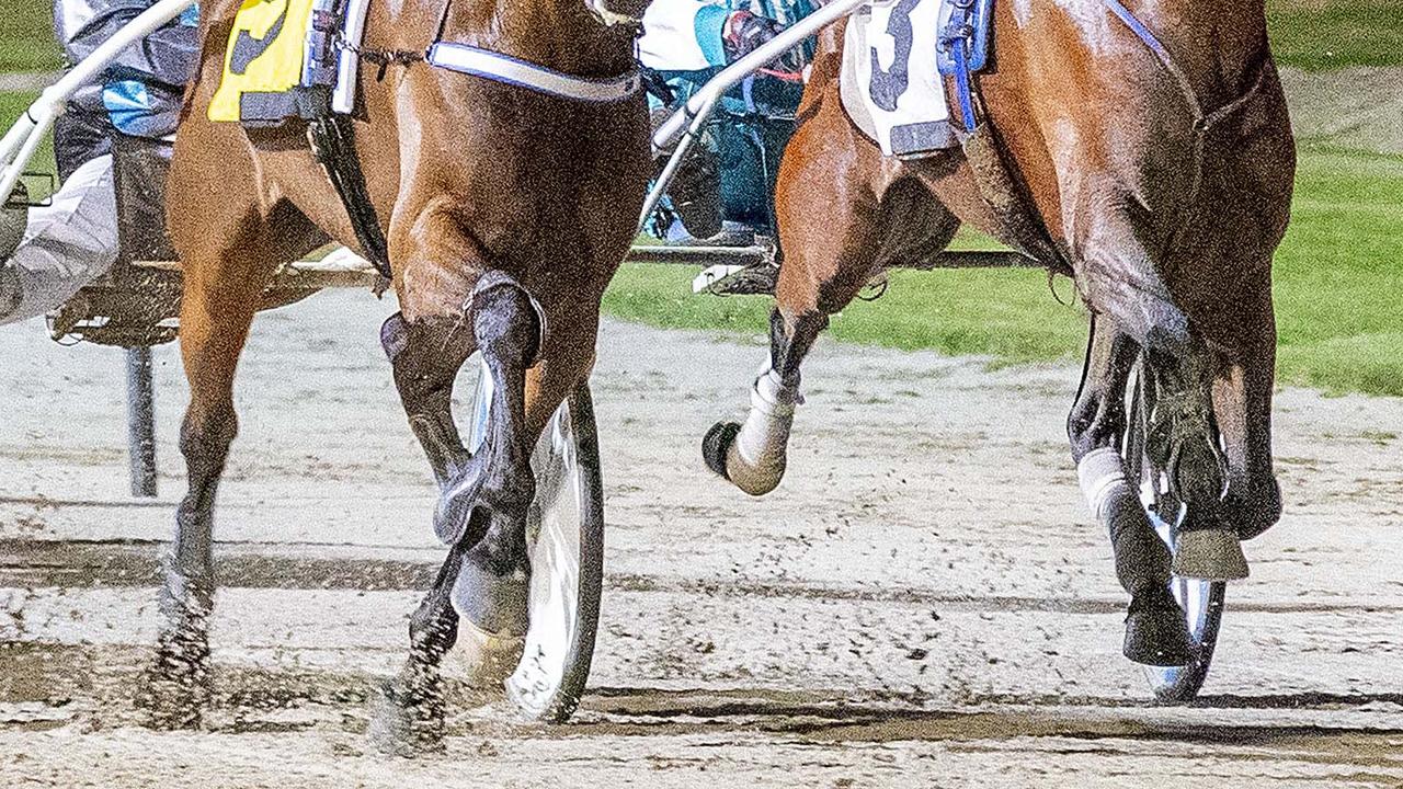 Jayden Brewin: Harness driver banned for two years for betting