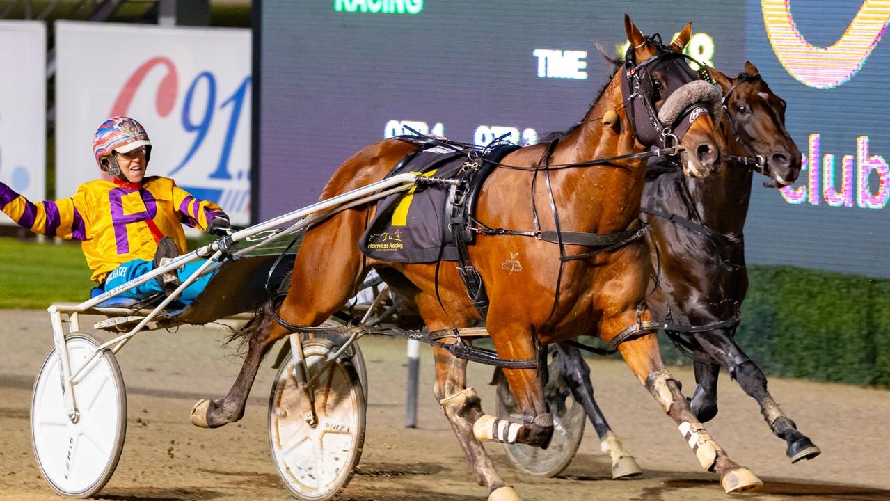 Harness racing: Eureka contenders set for crucial hitouts