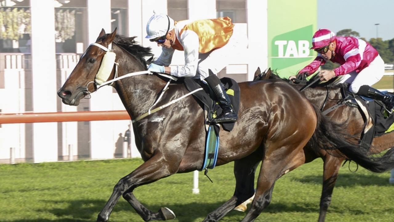 Goulburn preview: Danielle Seib is looking for the real Almahero to appear