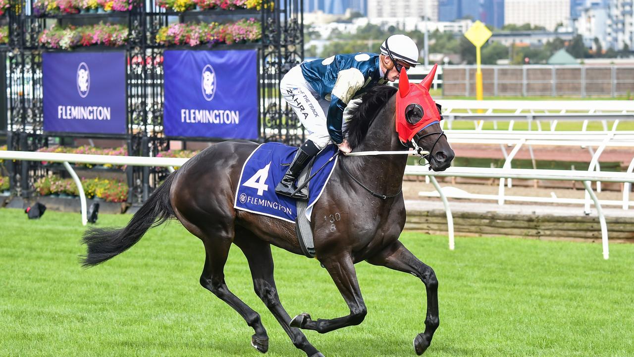 Forgot You ready to be remembered in spring - Racenet