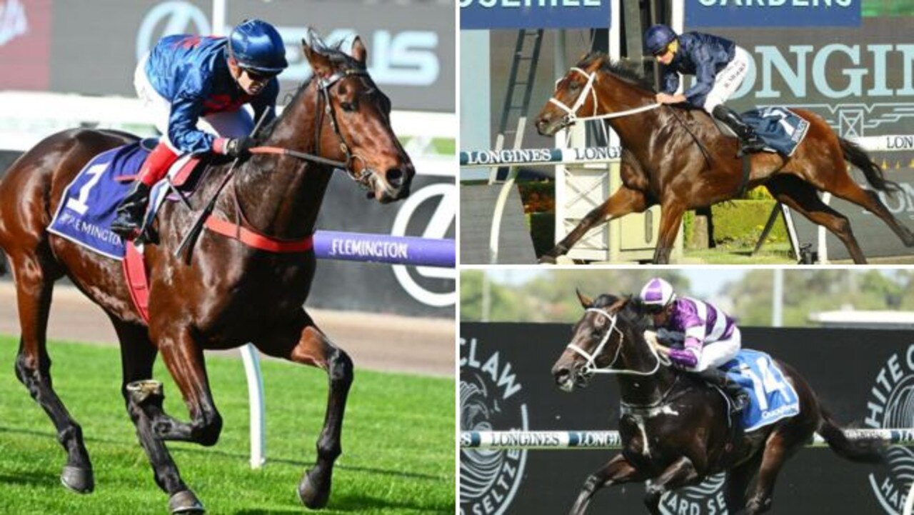 Spring carnival 2023: Racing experts' horses to watch