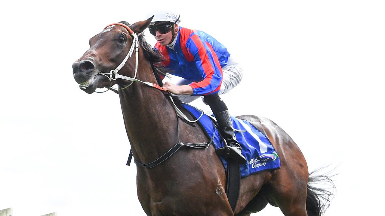 Saturday Rosehill runner backed from $15 to $6.50