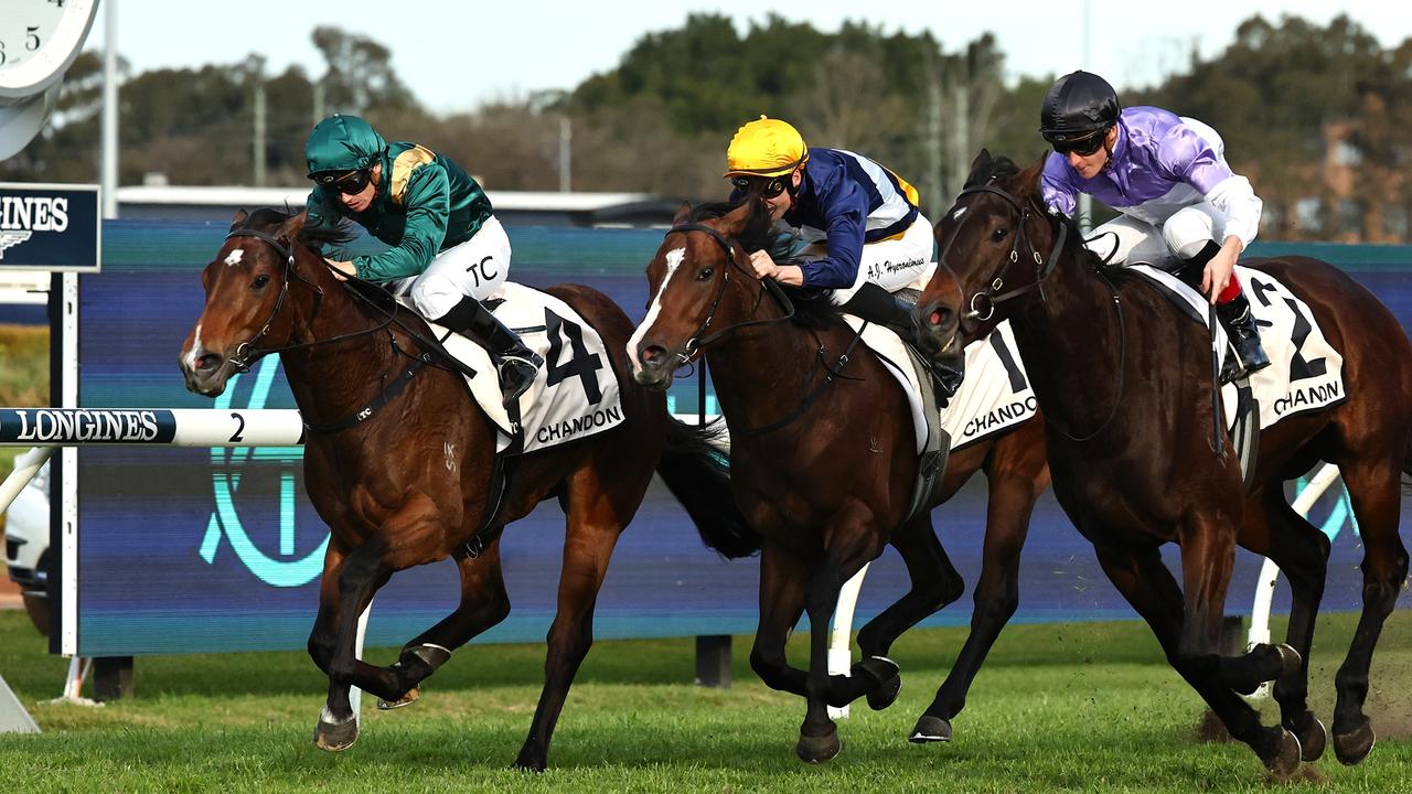 Bott gives decent push for $23 chance in San Domenico