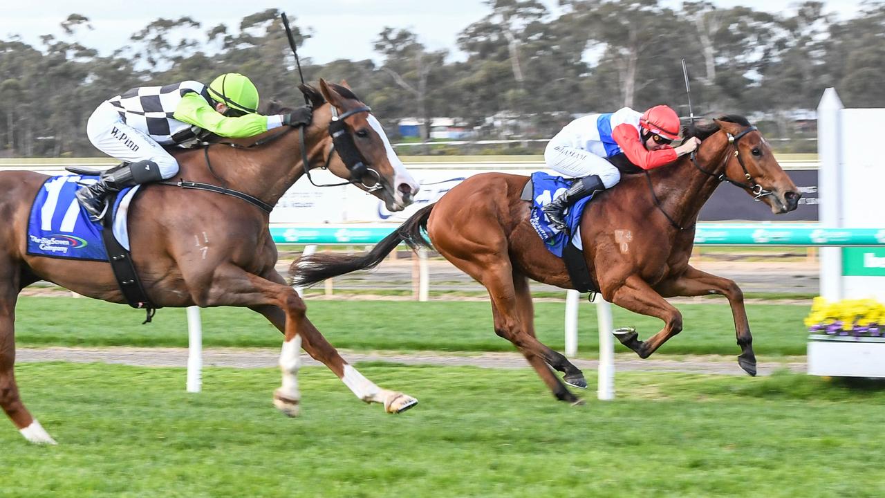 Forsman to lay spring assault platform with Valley trio