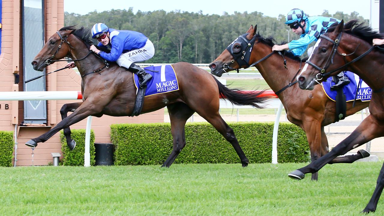 Greg Polson rates $19 chance at $3.90 at Nowra Sunday