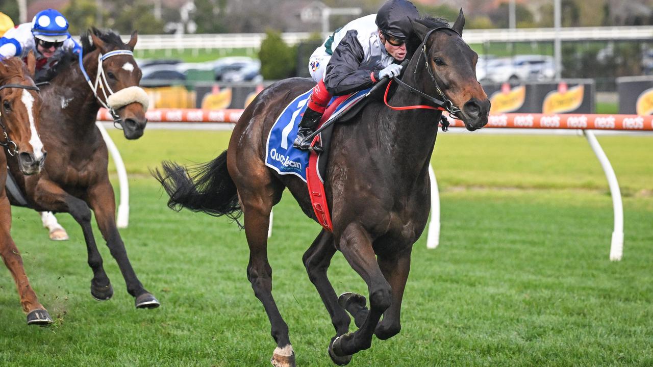 Mr Brightside ready for blood in Memsie Stakes