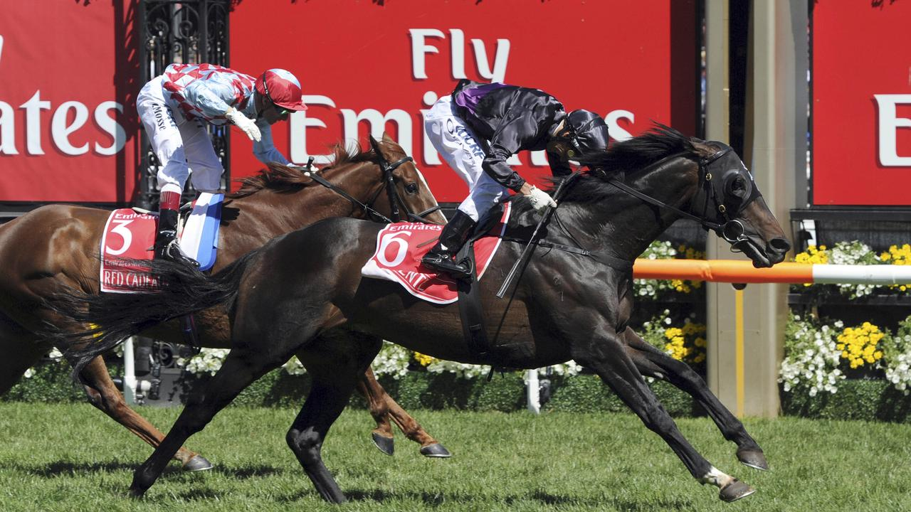 Melbourne Cup Tips 2025 [FREE Expert Tips]