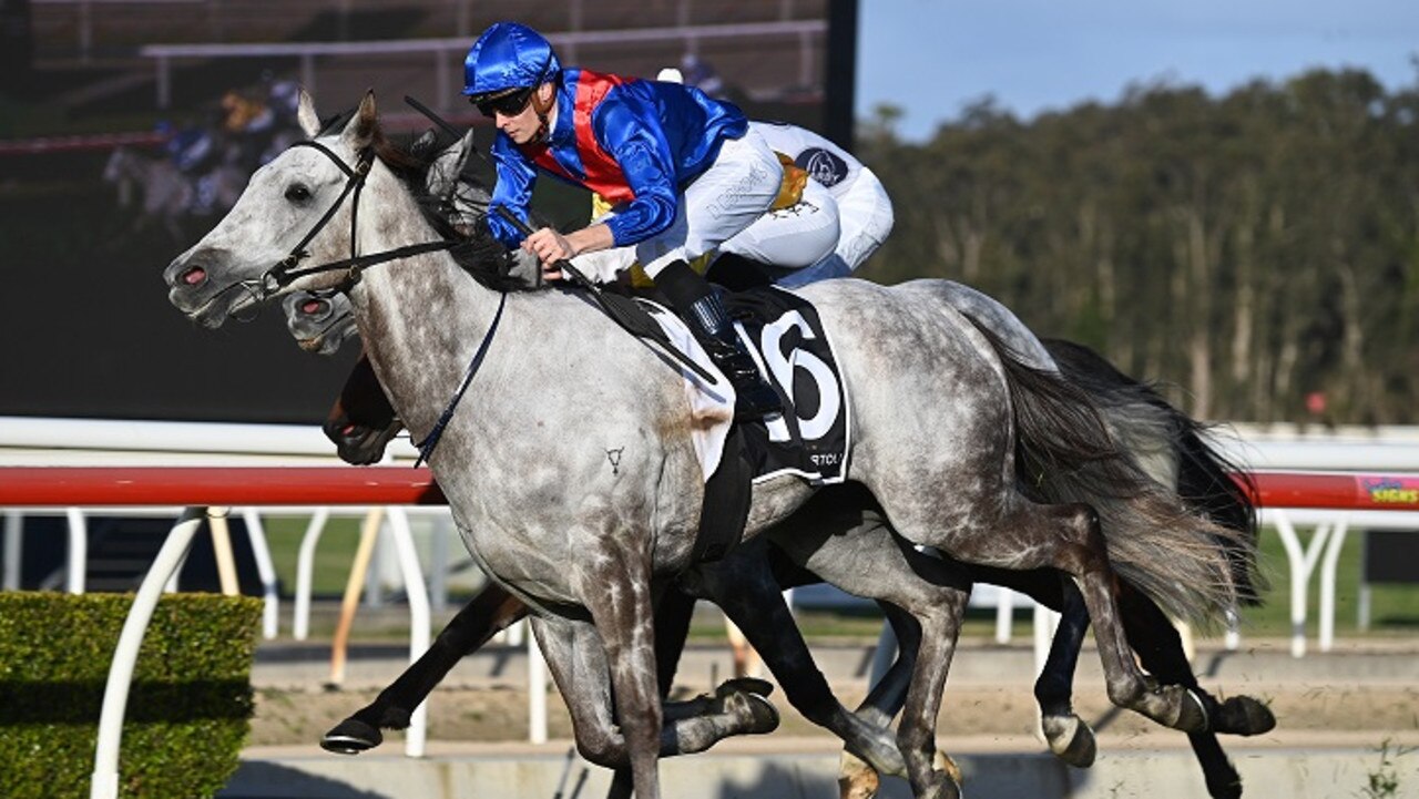 Three jockeys hospitalised on chaotic Wyong Cup day