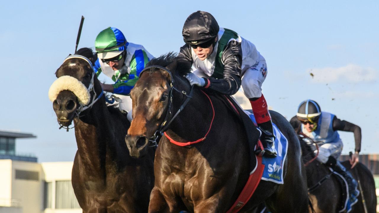 Mr Brightside continues rise with Memsie victory