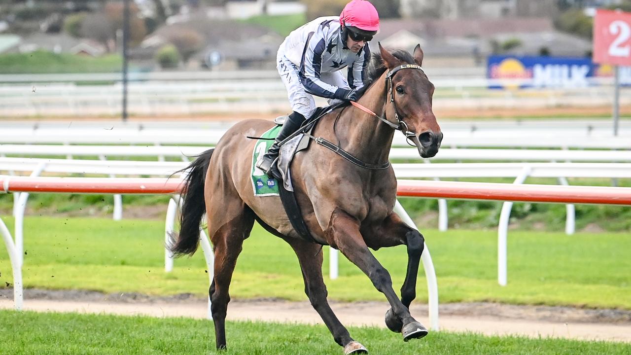 Warrnambool Monday tips: $12 value bet