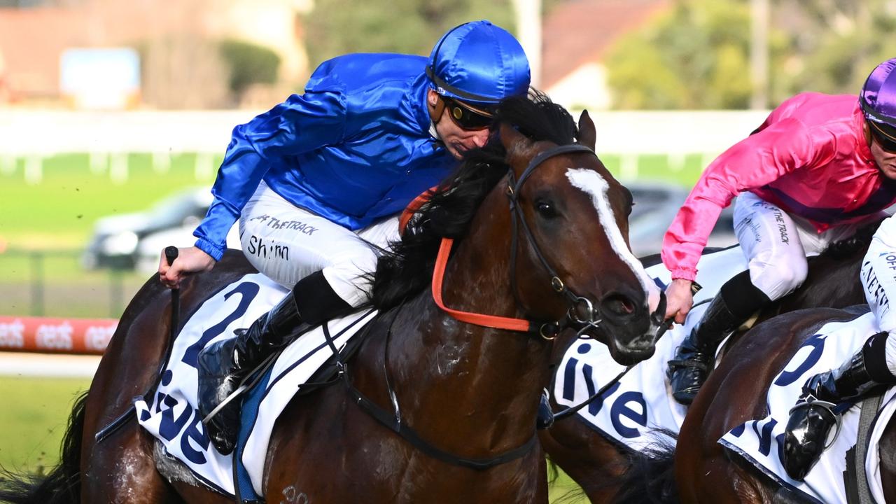 Ray and Duff analyse all 10 races at Rosehill
