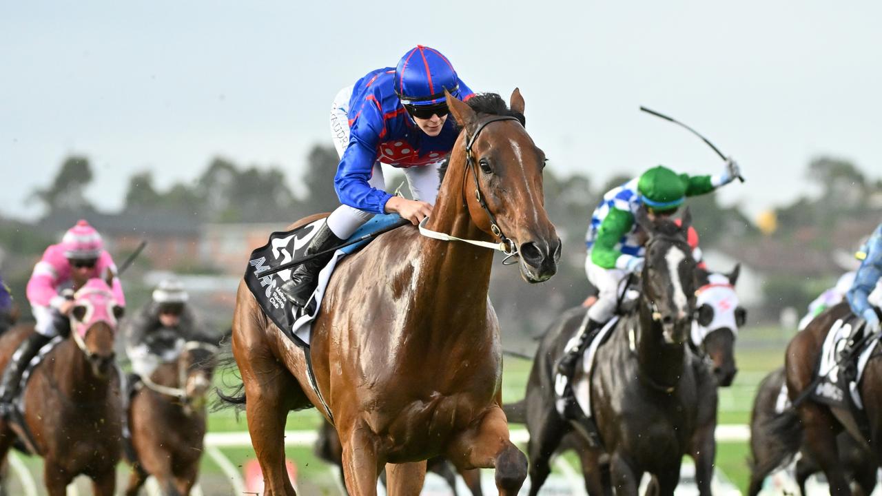 Mick Price sets pass mark for Feehan Stakes favourite