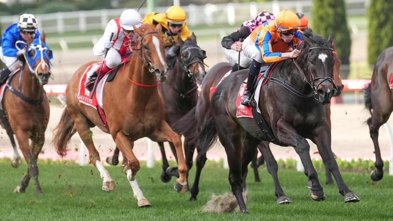 Cameron Happ's follow and forgets from The Valley on Feehan Stakes day