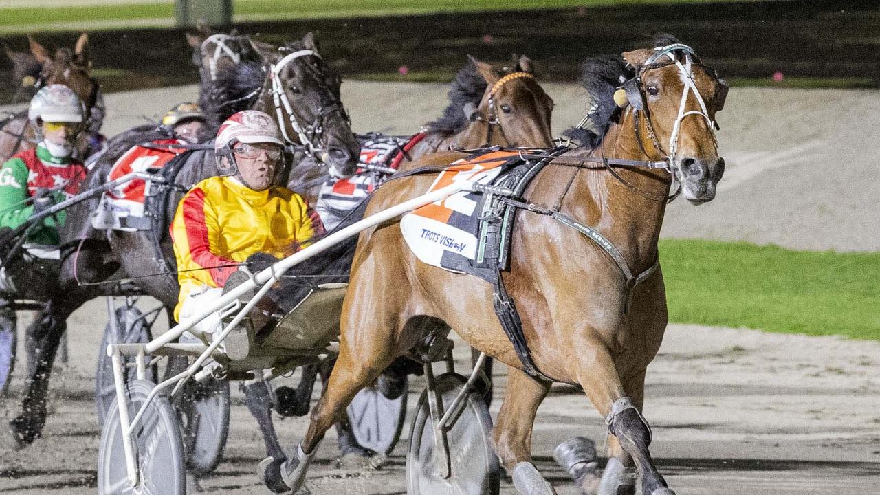 Top driver insists trotting star is world class