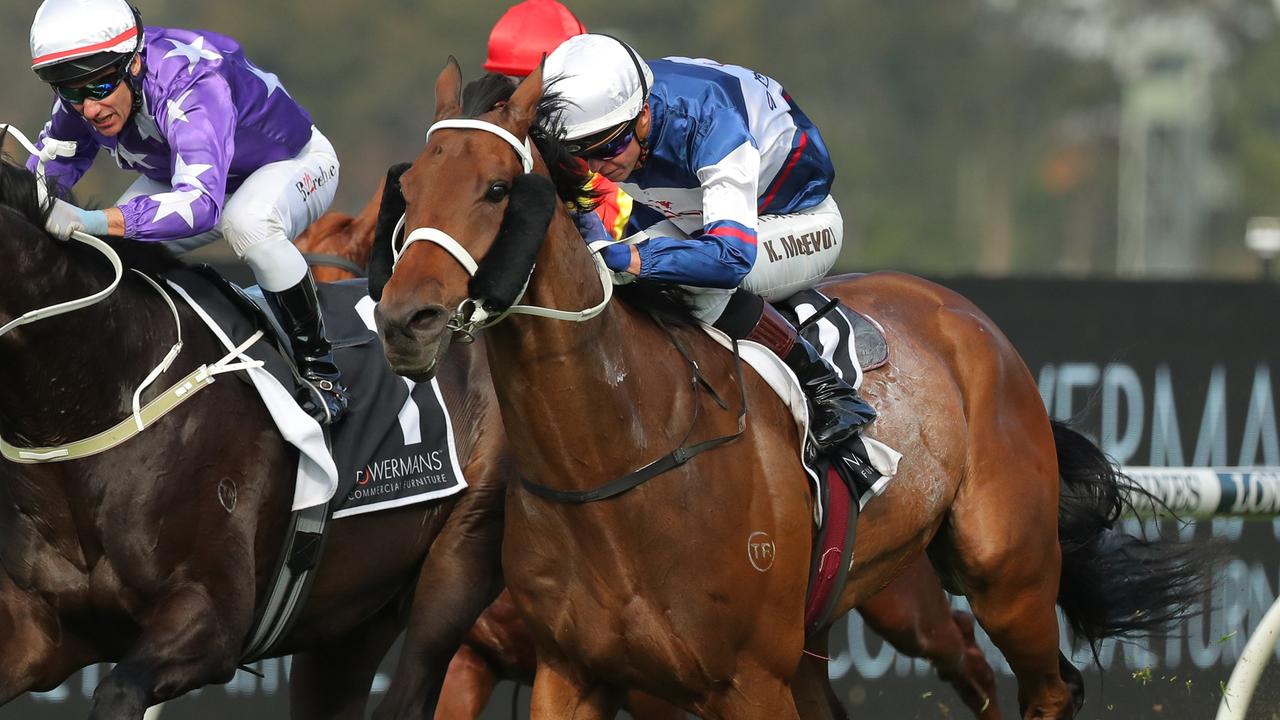 Ray and Duff analyse all 10 races at Rosehill