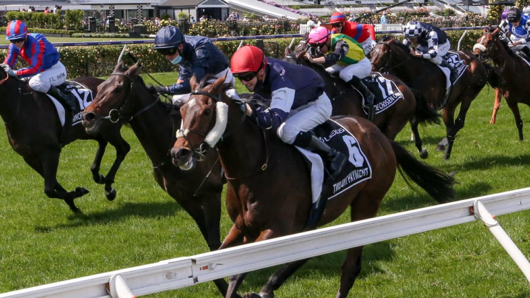 Melbourne Cup Trifecta Payouts 2025 & Historical - Racenet