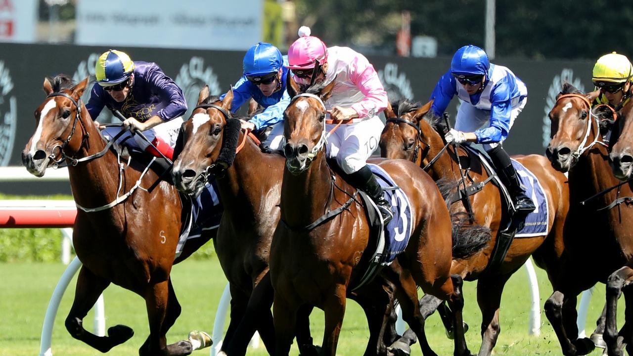 Randwick Epsom tips: Ray and Duff analyse all 10 races
