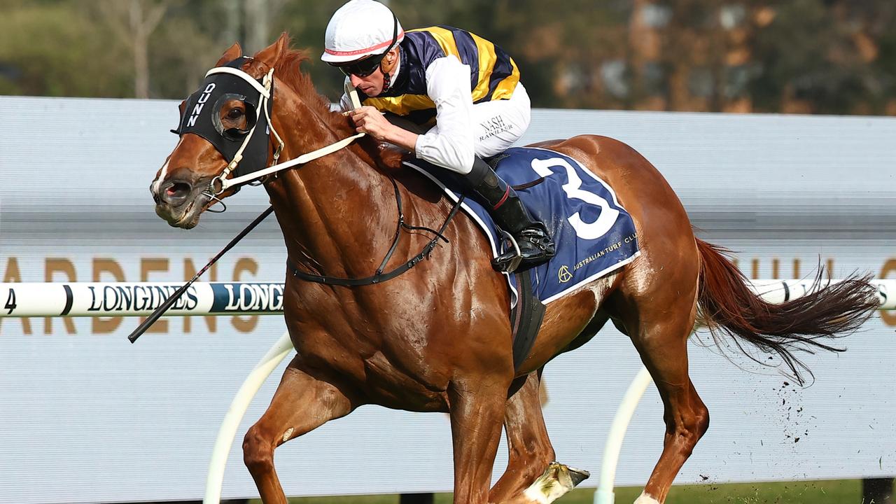 Hill Stakes and Alan Brown Stakes fields and barrier draws