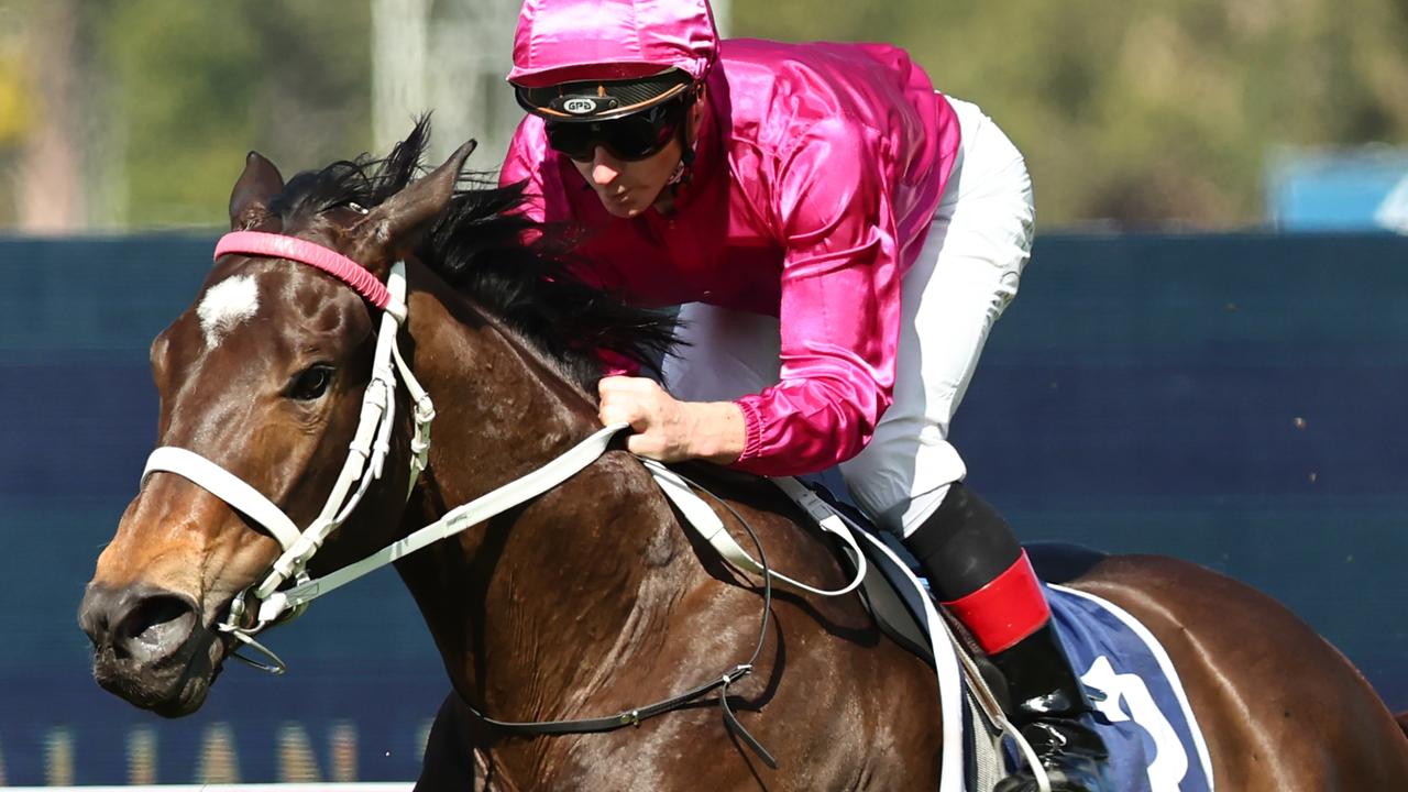 Runner-by runner analysis: King Charles III Stakes