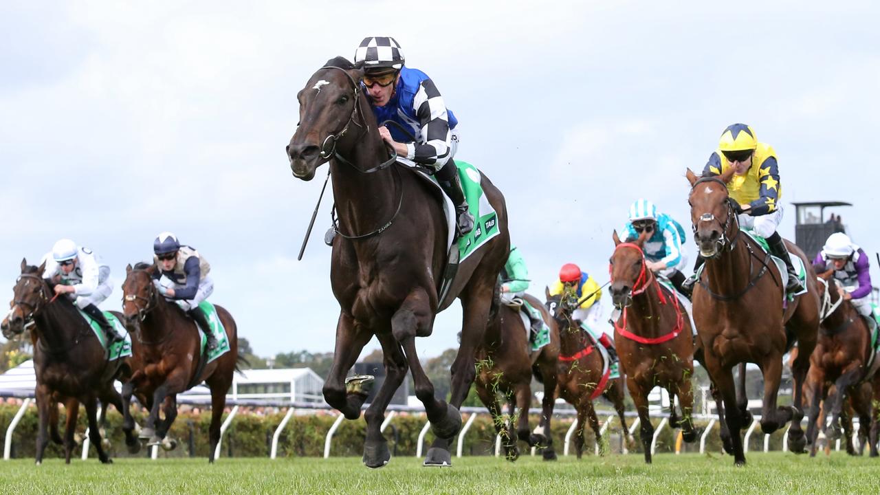 Gold Trip's Melbourne Cup defence hinges on Caulfield Cup start