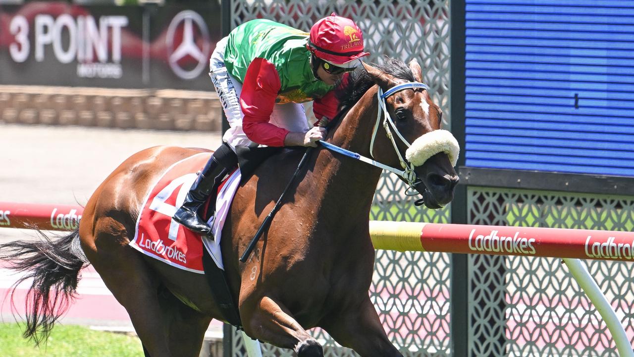 Horse racing tips: Pakenham best bets for Friday October 20