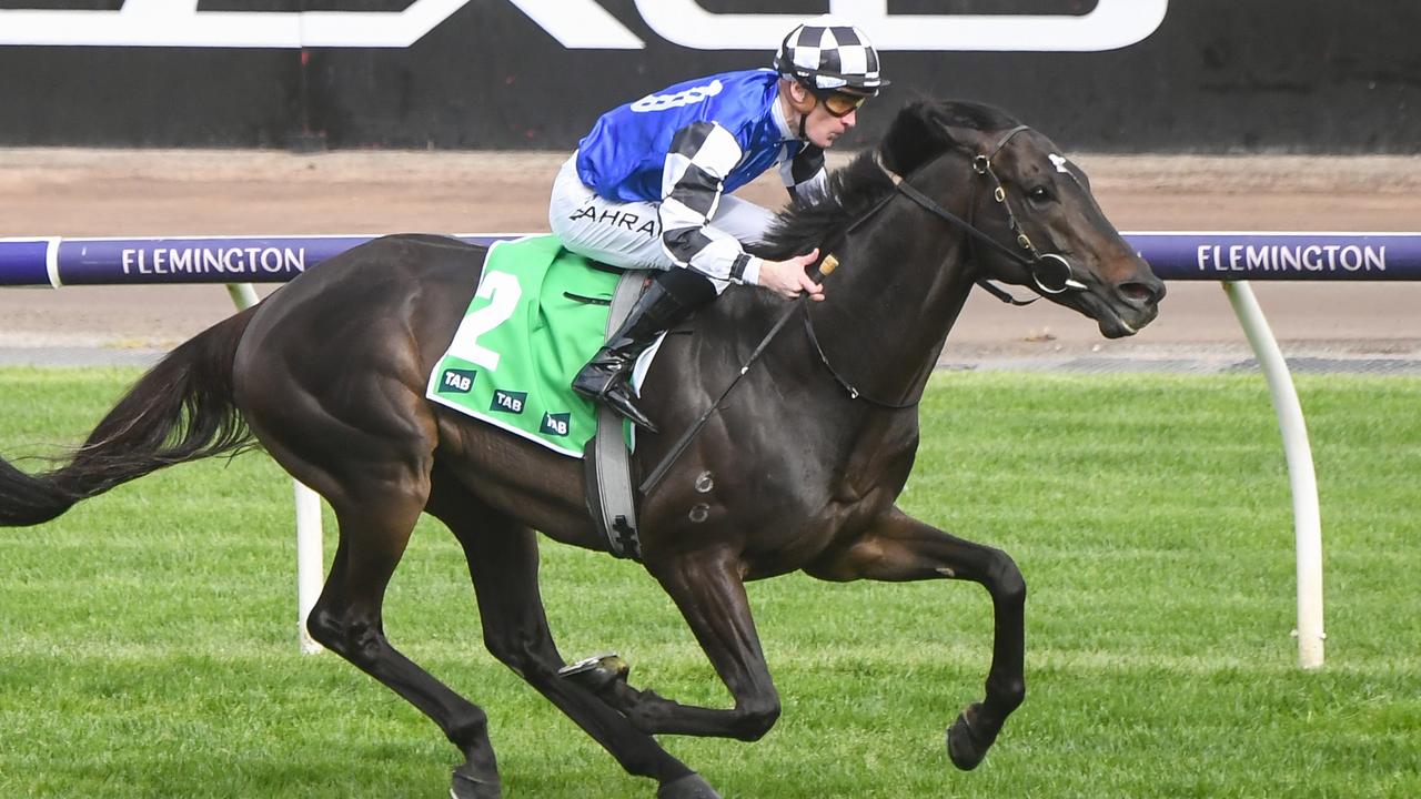Caulfied Cup tips 2023: Runner-by-runner analysis