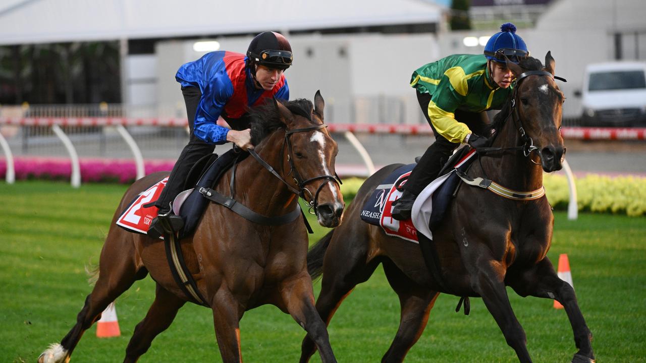 Zaaki ‘going better' for third Cox Plate attempt