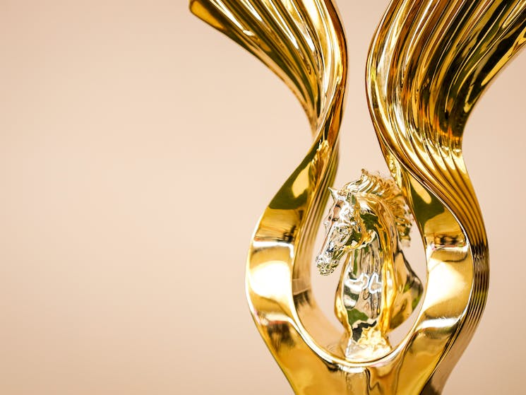 The Golden Eagle Field 2025 | View The Field & Pick a Winner | Racenet