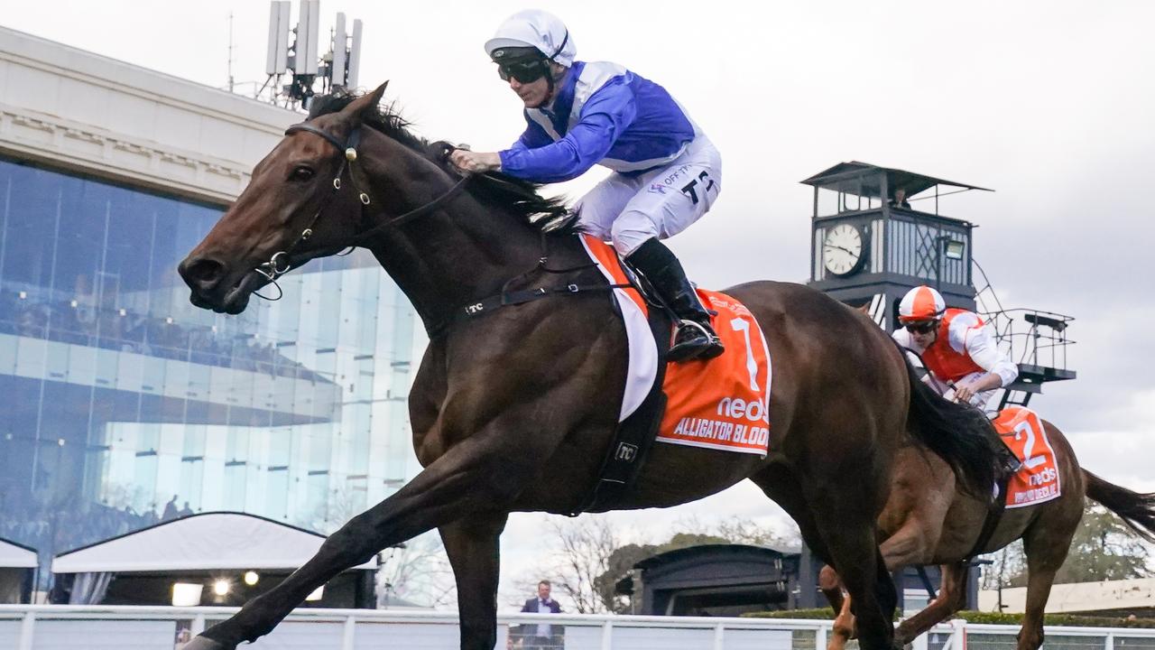 Cox Plate expert tips and analysis
