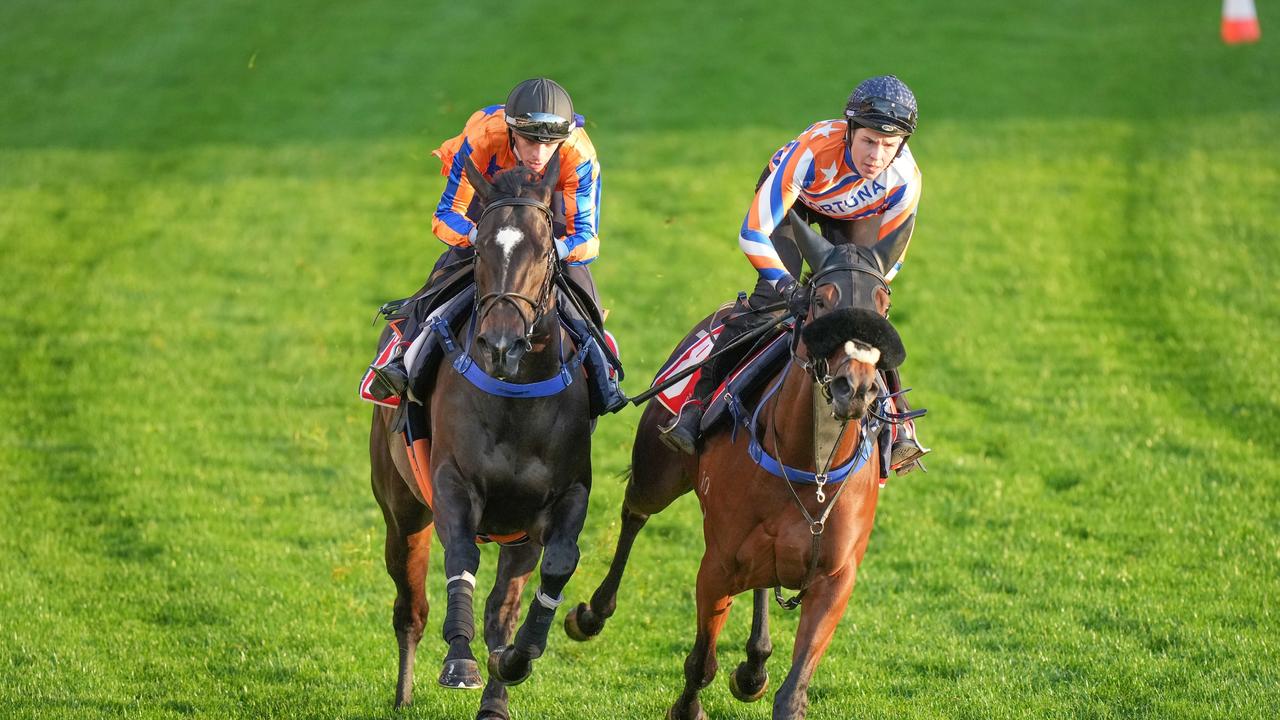 The big bets: Punter unloads $40,000 on Cox Plate runner