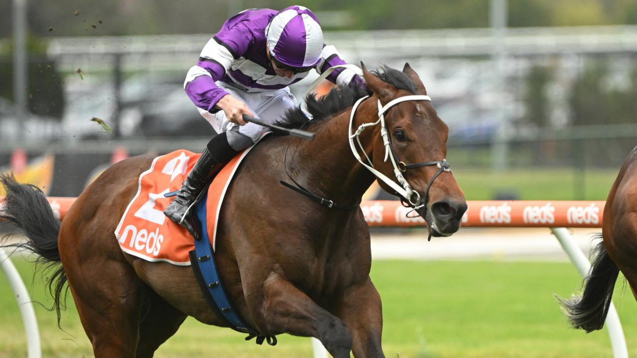 Victoria Derby tips: Runner-by-runner analysis